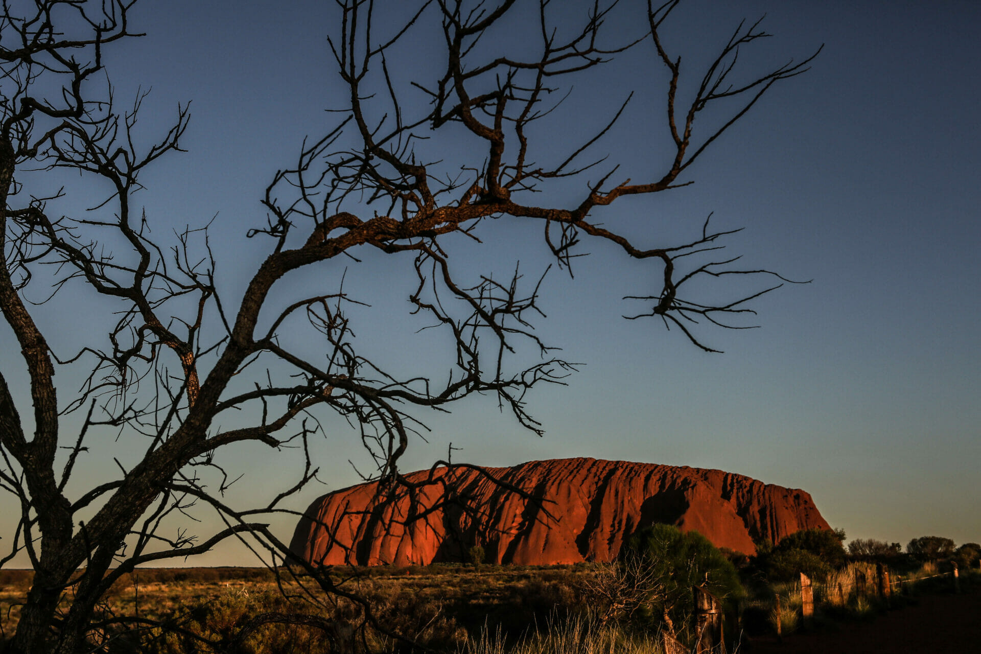 Uluru Sunset | MCL Travel